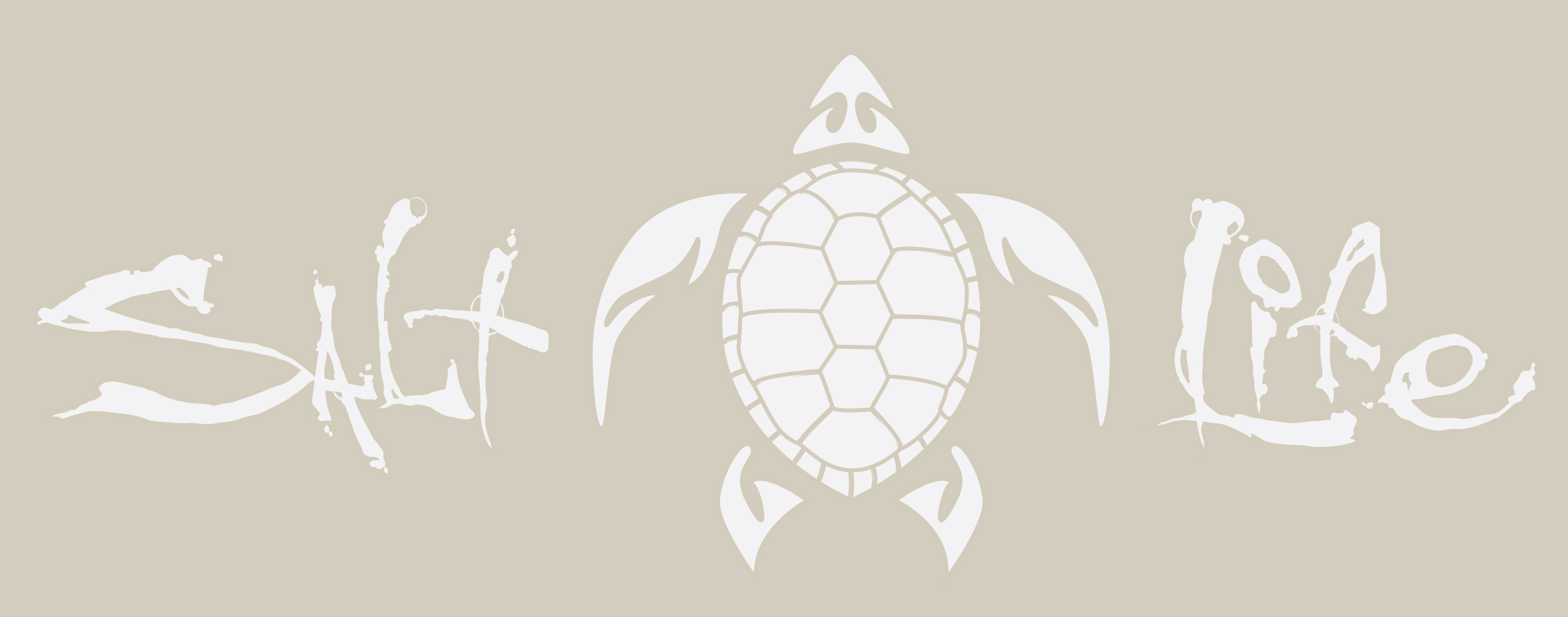 Salt Life Signature Turtle Decal | Cabela's